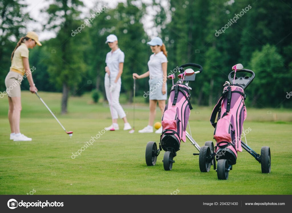 Home - Springhead Park