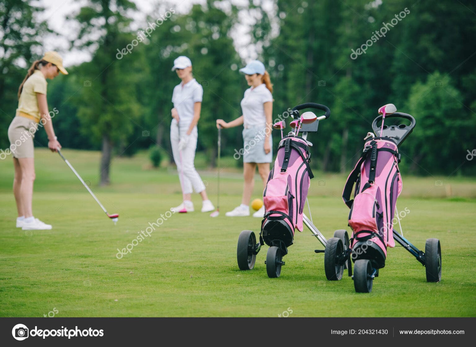 Home - Springhead Park